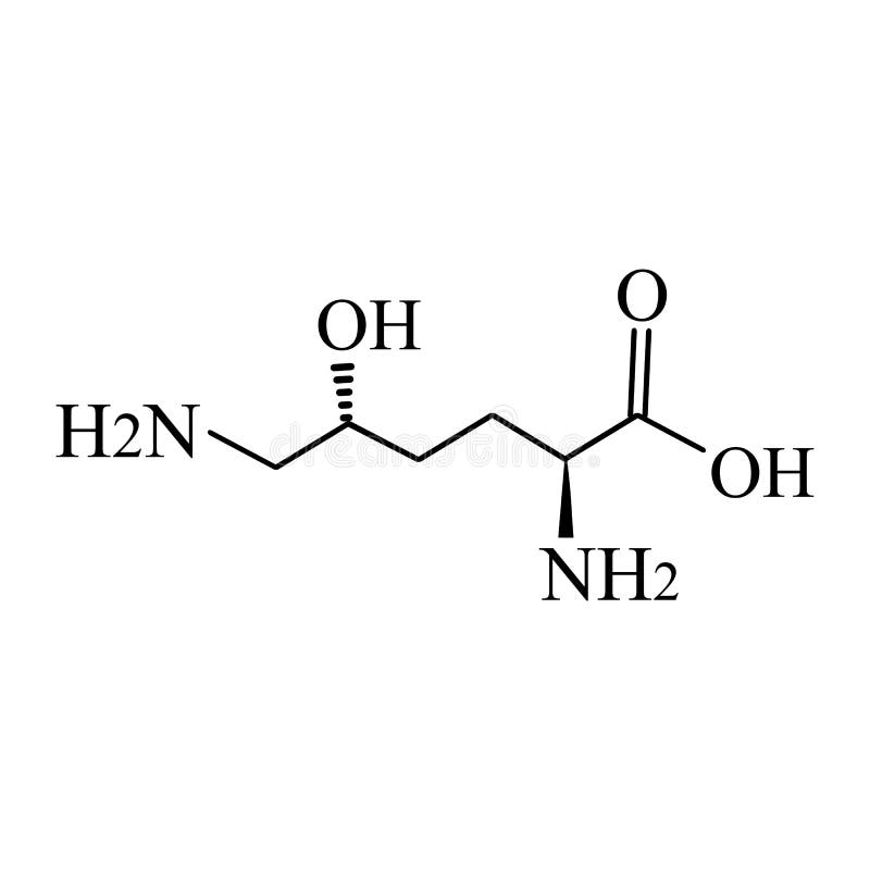 Hydroxylysine Chemical Structure. Vector Illustration Hand Drawn Stock ...