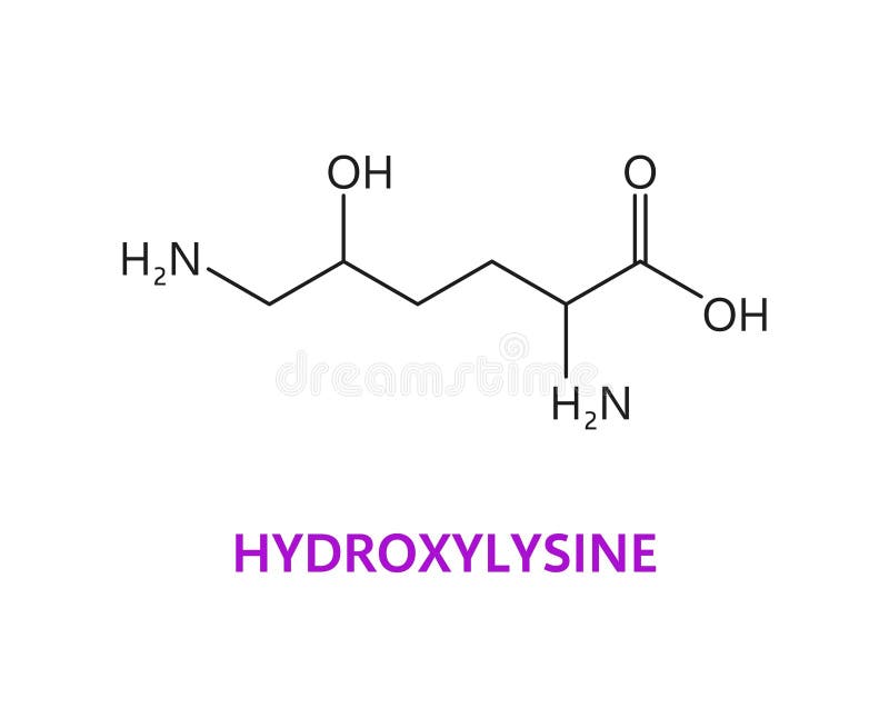 Hydroxyl Group Structure Solved In This Activity You Will Match The