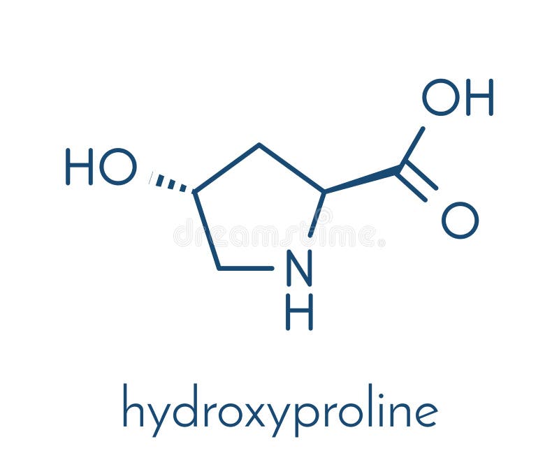 Hydroxyproline Hyp Amino Acid. Essential Component of Collagen ...