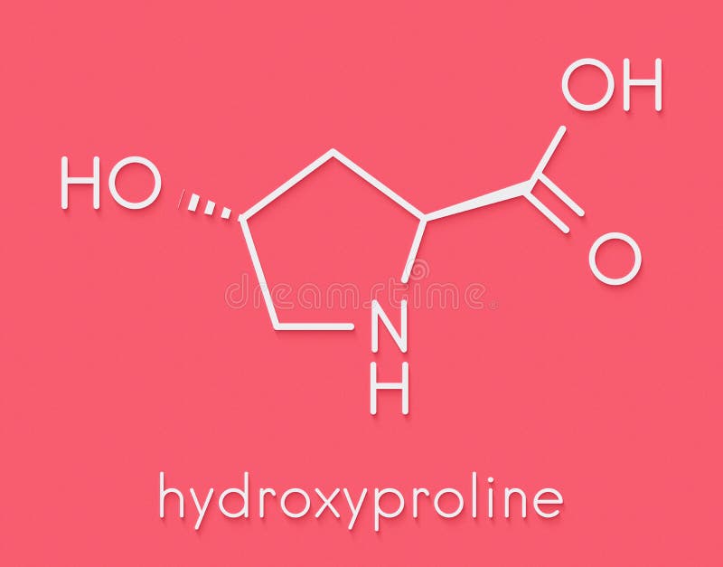 Hydroxyproline Hyp Amino Acid. Essential Component of Collagen ...