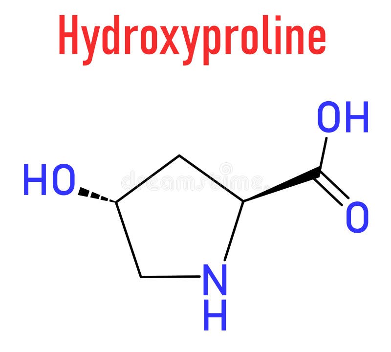 Hydroxyproline, Hyp Amino Acid. Essential Component of Collagen ...