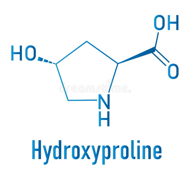 Hydroxyproline, Hyp Amino Acid. Essential Component of Collagen ...