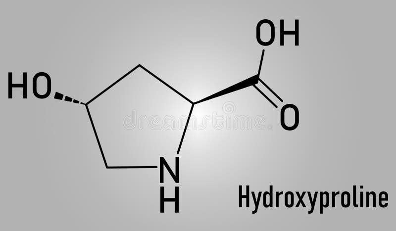 Hydroxyproline, Hyp Amino Acid. Essential Component of Collagen ...