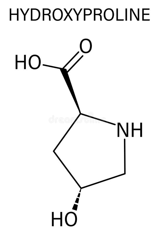 Hydroxyproline, Hyp Amino Acid. Essential Component of Collagen ...