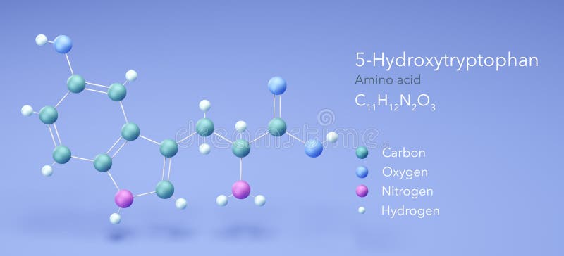 5-hydroxytryptophan, Molecular Structures, Amino Acid, 3d Model ...