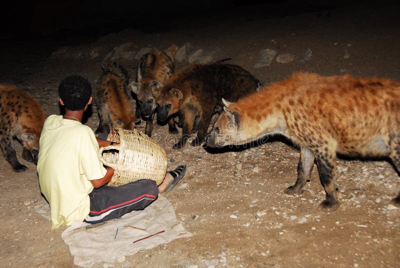 The Hyena Man of Harar (Ethiopia) Editorial Image - Image of ethiopia ...