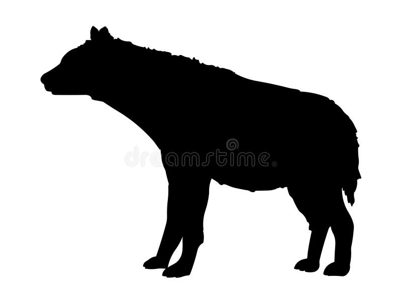 Hyena Vector Illustration Black Silhouette Stock Vector - Illustration ... Hyena Vector Illustration Black Silhouette Stock Vector - Illustration ...