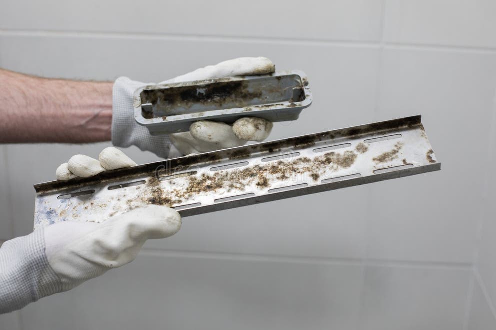 Hygiene Bathroom Problem. Bathroom Drain with Mildew and Dirt in ...