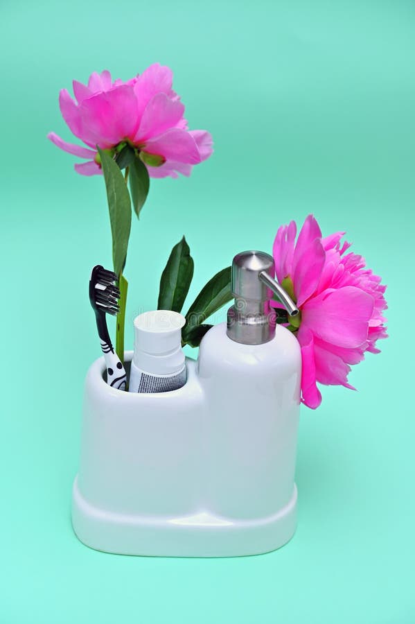 Hygiene Organizer, Soap Dispenser, Toothbrush and Toothpaste, and ...