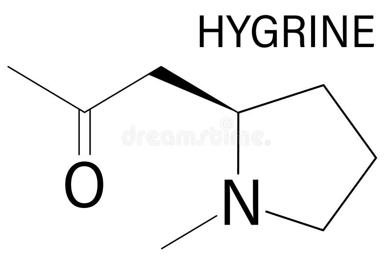 Hygrine Coca Alkaloid Molecule. Skeletal Formula Stock Vector ...