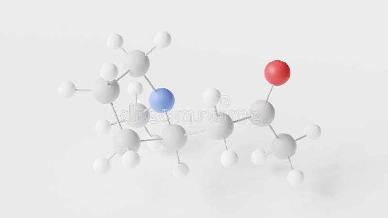 Hygrine Molecular Structure, 3d Model Molecule, Pyrrolidine Alkaloid ...