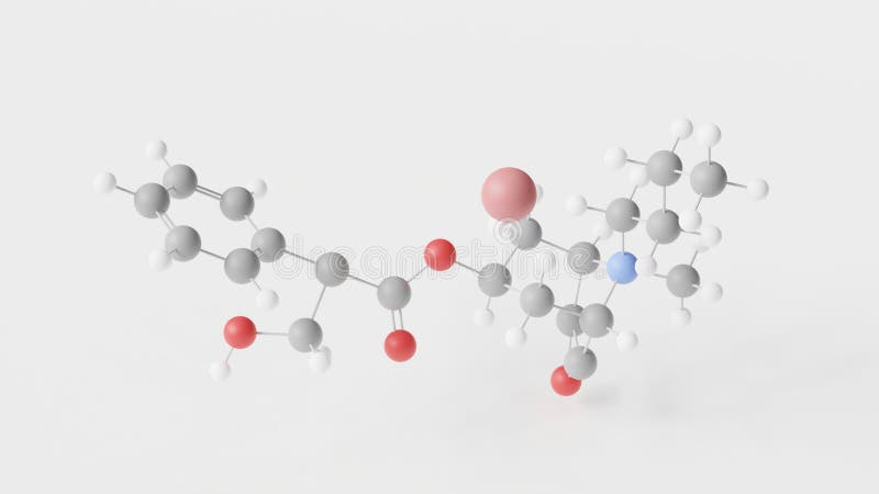 Hyoscine Butylbromide Molecule 3d, Molecular Structure, Ball and Stick ...