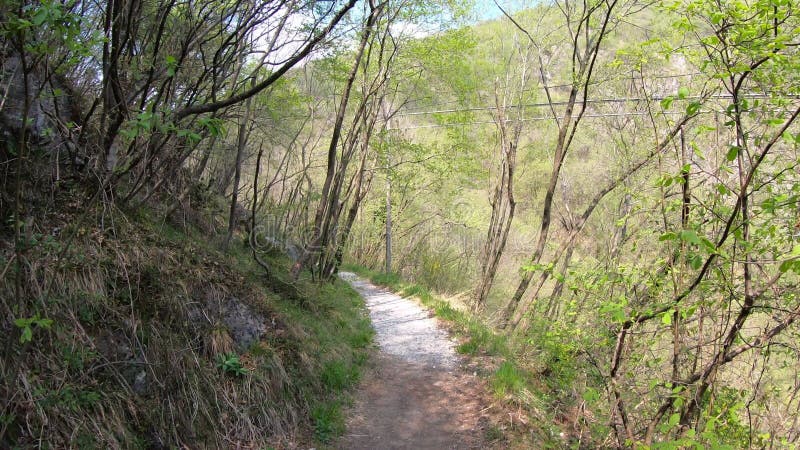 Hyper Lapse Hiking on the Paths in the Woods of the Italian Alps ...