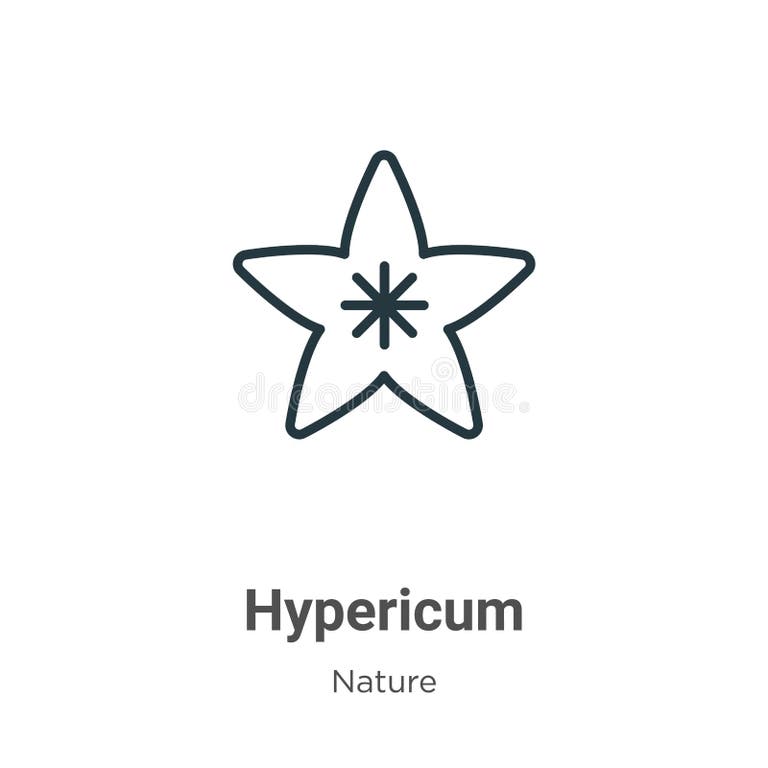 Hypericum Outline Vector Icon. Thin Line Black Hypericum Icon, Flat ...