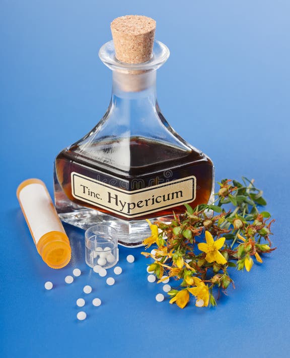 Hypericum Plant and Extract and Homeopathic Pills Stock Image - Image ...
