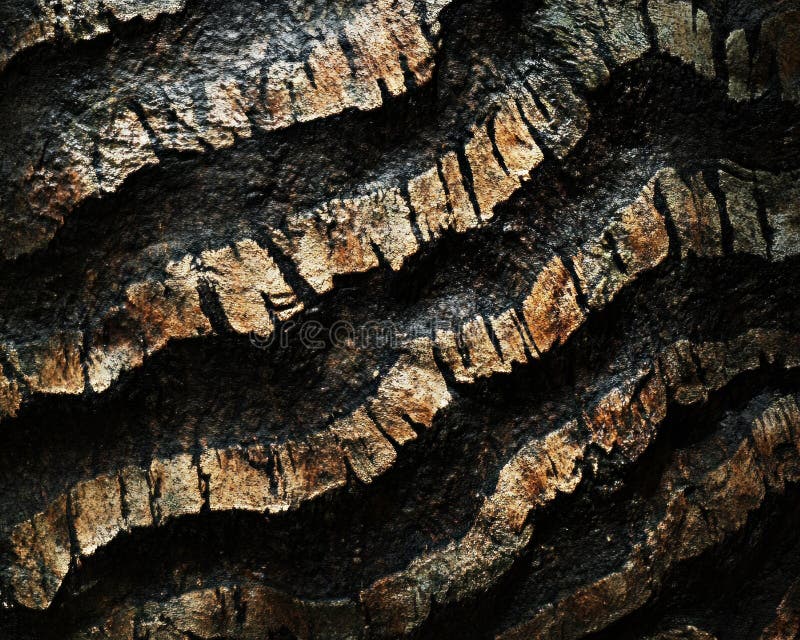 Surreal Fusion of Zebra Hide and Tree Bark Texture Stock Illustration ...