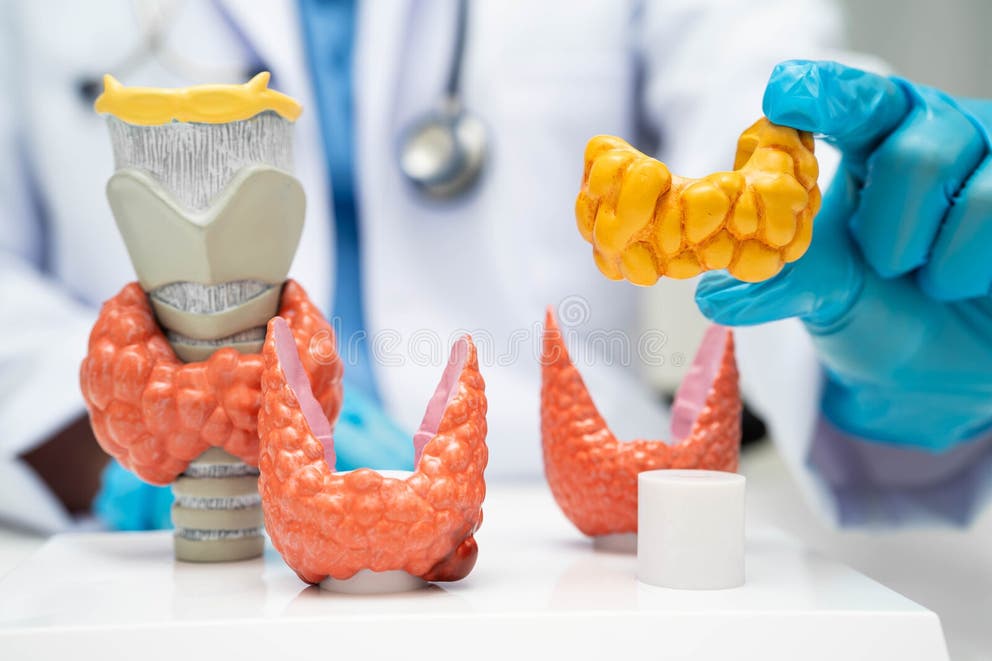 Hyperthyroidism, Overactive Thyroid, Thyroid Lymphoma, Asian Doctor ...