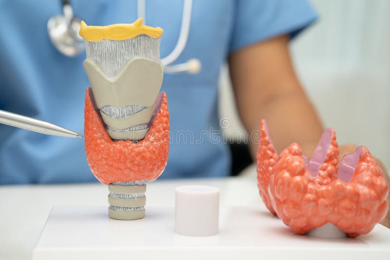 Hyperthyroidism, Overactive Thyroid, Thyroid Lymphoma, Asian Doctor ...