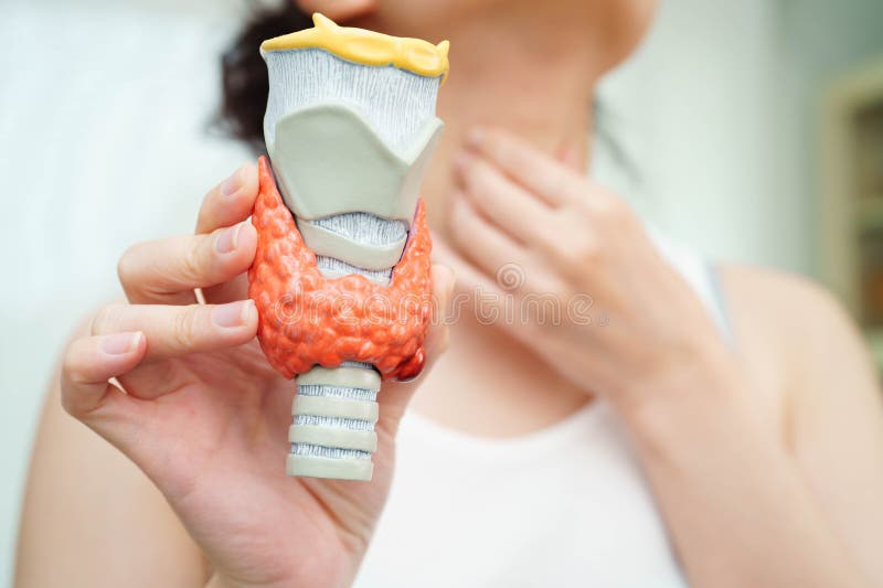 Hyperthyroidism, Overactive Thyroid, Thyroid Lymphoma, Asian Woman with ...