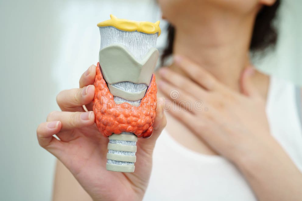 Hyperthyroidism, Overactive Thyroid, Thyroid Lymphoma, Asian Woman with ...