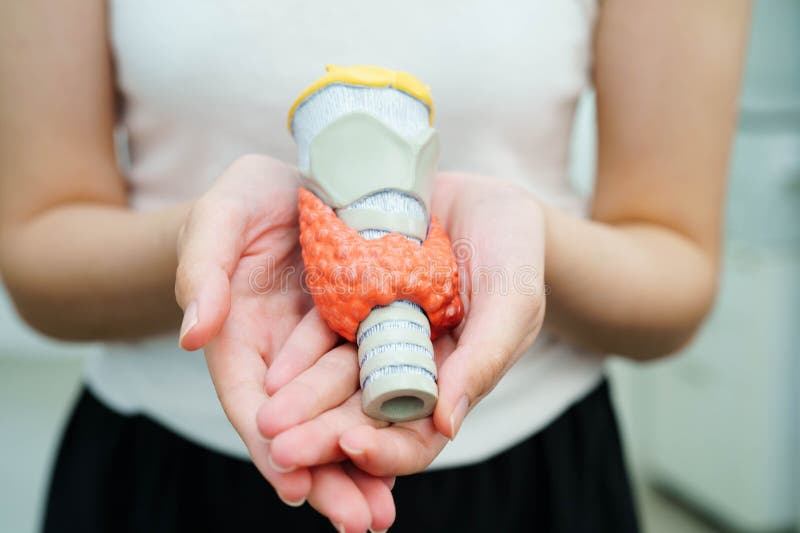 Hyperthyroidism, Overactive Thyroid, Thyroid Lymphoma, Asian Woman with Thyroid Gland Human ...