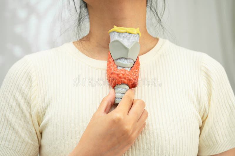 Hyperthyroidism, Overactive Thyroid, Thyroid Lymphoma, Asian Woman with Thyroid Gland Human ...