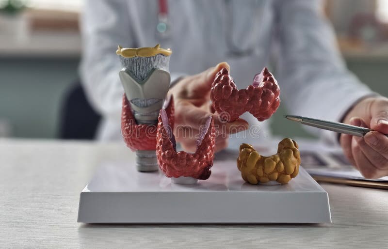 Hyperthyroidism, Overactive Thyroid, Thyroid Lymphoma and Doctor with ...