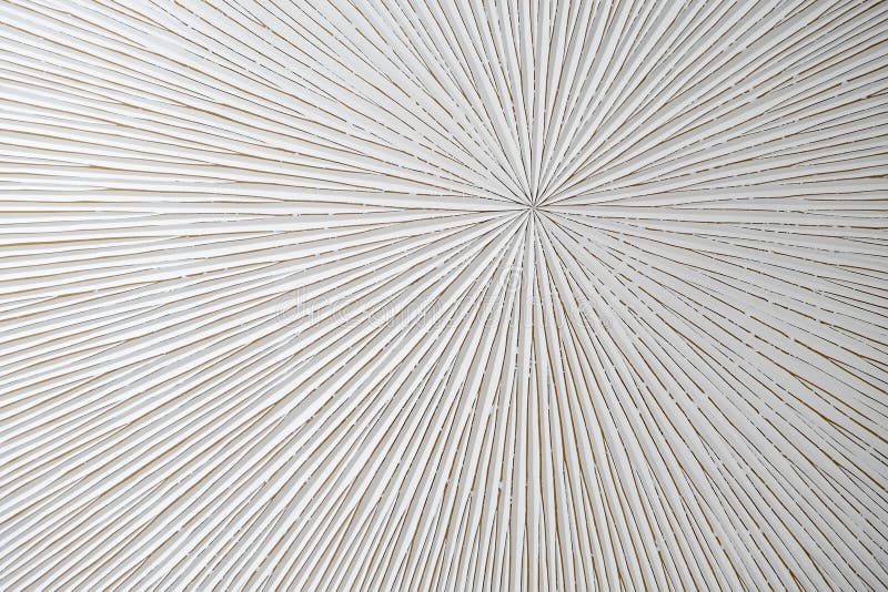 Hypnotic Image of Lines Radiating Outwards from the Background ...