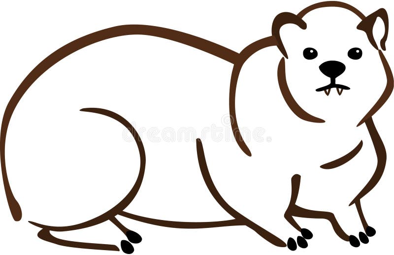 Hyrax stock vector. Illustration of procaviidae, capensis - 67173767