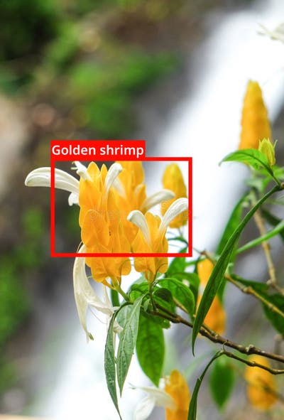 A.I. Artificial Intelligence To Identify Objects Technology,Machine ...