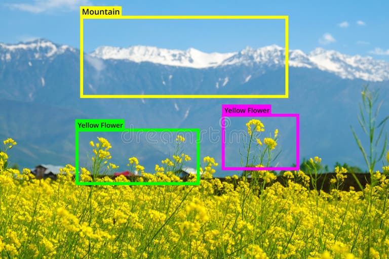 A.I. Artificial Intelligence To Identify Objects Technology,Machine ...