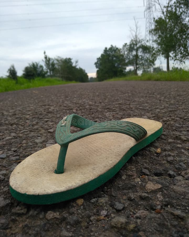 I call it sandal jepit stock image. Image of tree, soil - 224203827