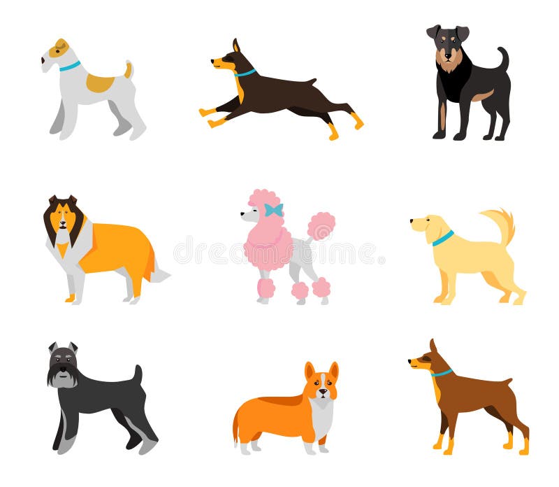 I Cani Vector L'insieme Delle Icone E Delle Illustrazioni Illustrazione ...