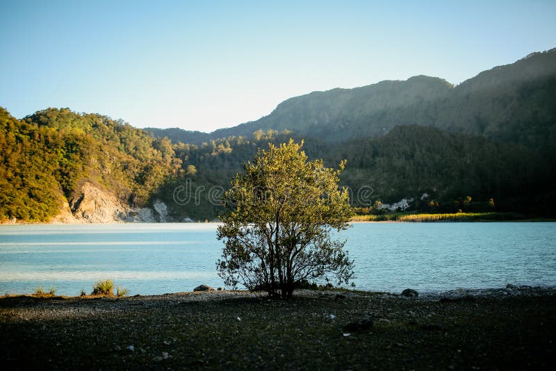 Green Lake in Garut, West Java Stock Photo - Image of cows, fashion ...