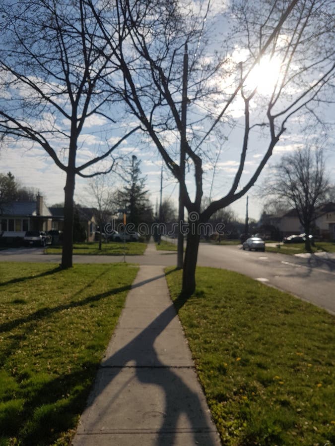 I am drying in fall stock image. Image of tree, fall - 373756697