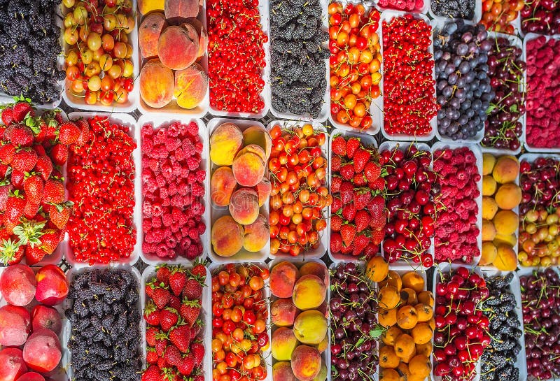 I frutti e le bacche fotografia stock. Immagine di costruzione - 95192720