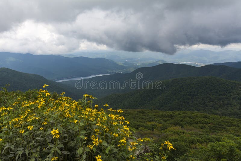 I Giardini Scoscesi Trascurano, Nord Carolina Di Asheville Immagine ... I Giardini Scoscesi Trascurano, Nord Carolina Di Asheville Immagine ...
