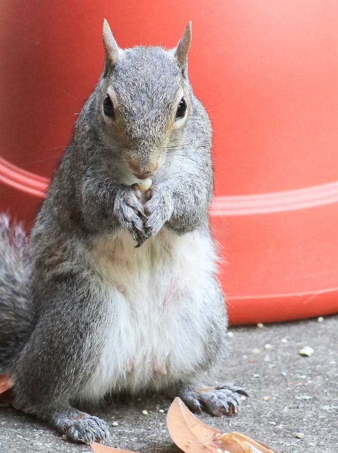 Plans I Have You Stock Photos - Free & Royalty-Free Stock Photos from ...