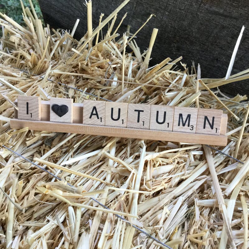 I Heart Autumn editorial photo. Image of heart, decoration - 60957046