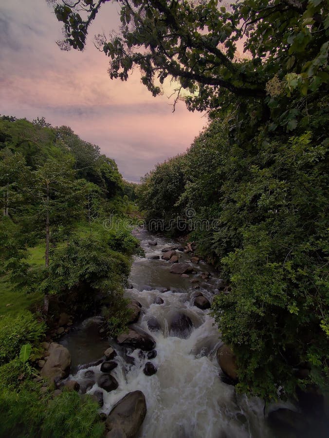 I Learned How To Flow from the River without Moaning at All Stock Photo ...