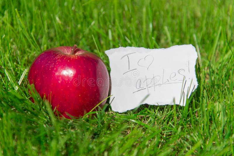 I like apples! stock photo. Image of health, green, grass - 58613246