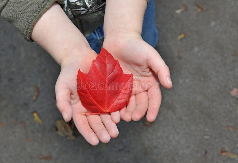 I ll catch you if you fall stock photo. Image of child - 16702496