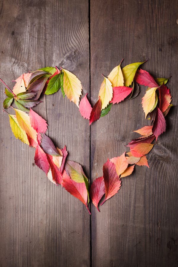 I love autumn stock image. Image of seasonal, valentine - 27089569