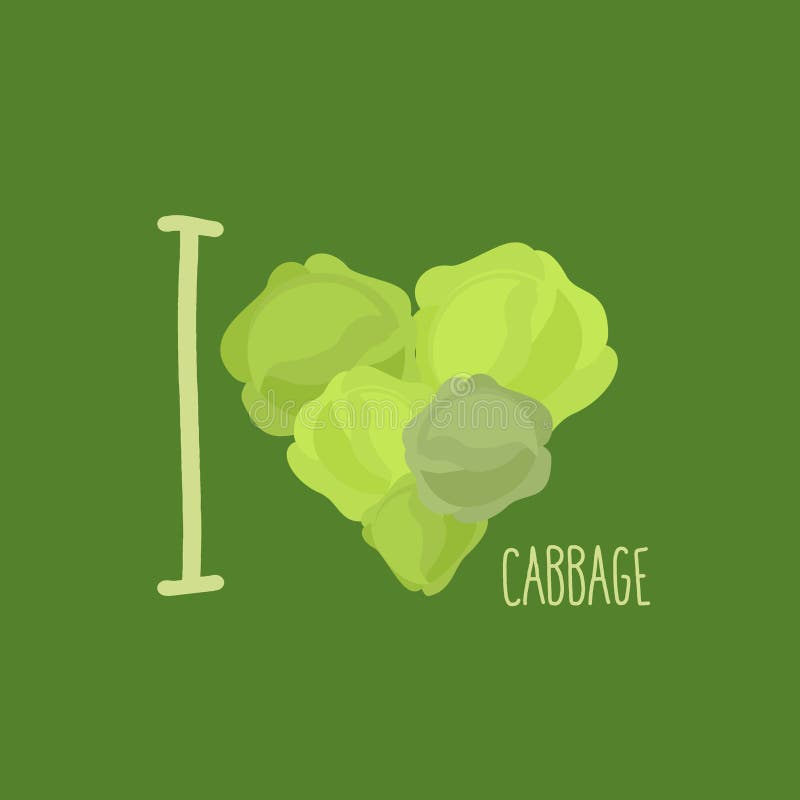 I Love Cabbage. Heart of Green Cabbage Stock Vector - Illustration of ...