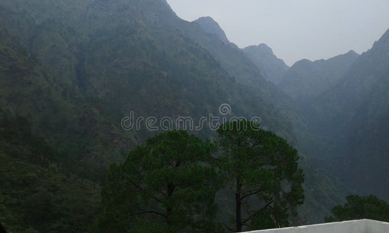I Love India& X27;n Nechur Stock Image - Image of vaishno, nechur ...