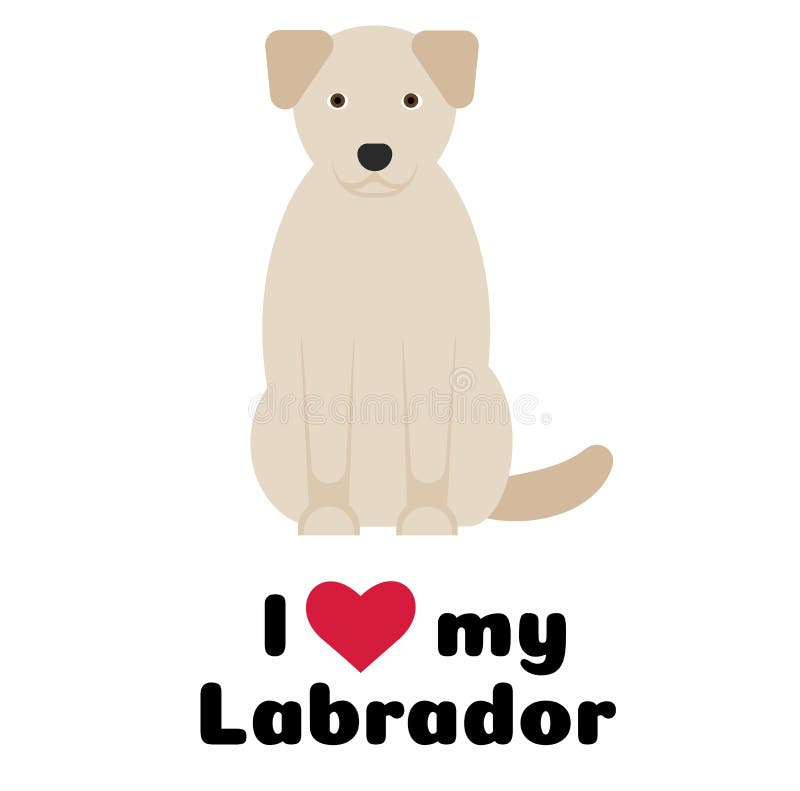 I Love My Labrador Illustration on White Background Stock Vector ...