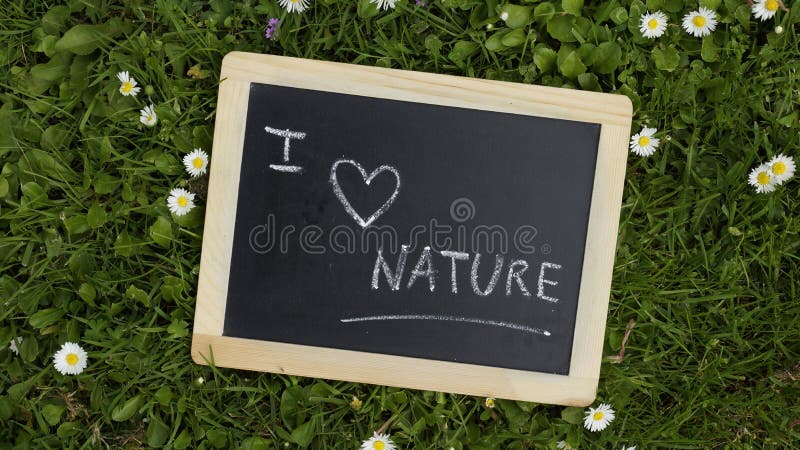 Nature written in Autumn stock image. Image of color - 34746515