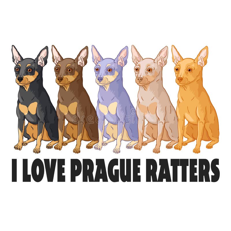 Prague ratter stock vector. Illustration of animal, black - 67010130