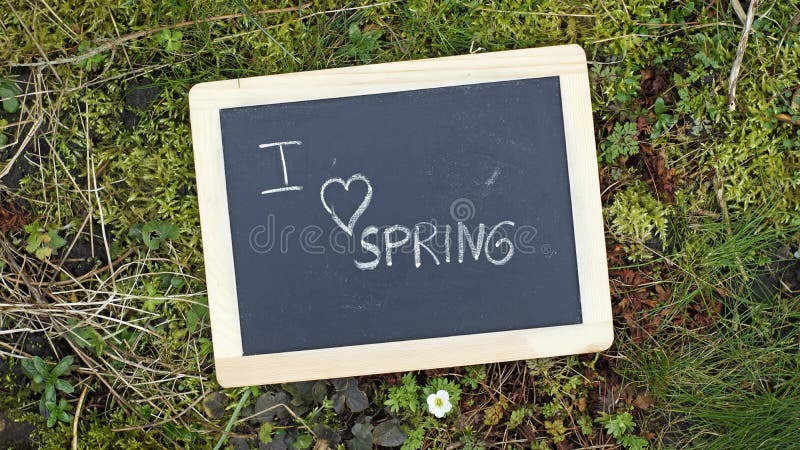 I love spring stock image. Image of heart, happy, object - 38554745
