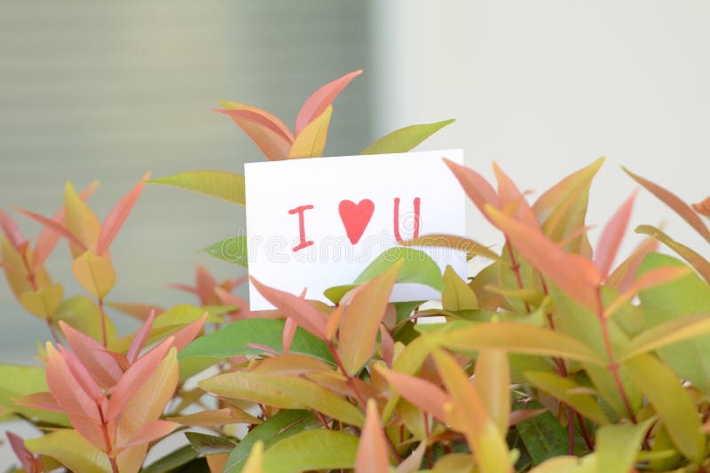 I love you stock image. Image of sand, celebrate, gift - 63535125